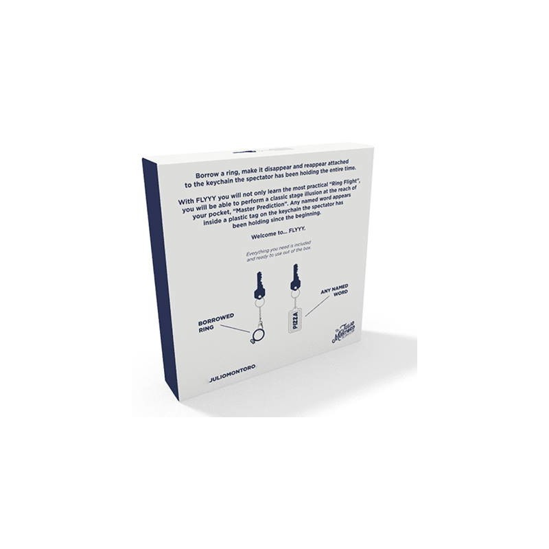 Flyyy (Mode d'emploi en français) - Téléchargement immédiat